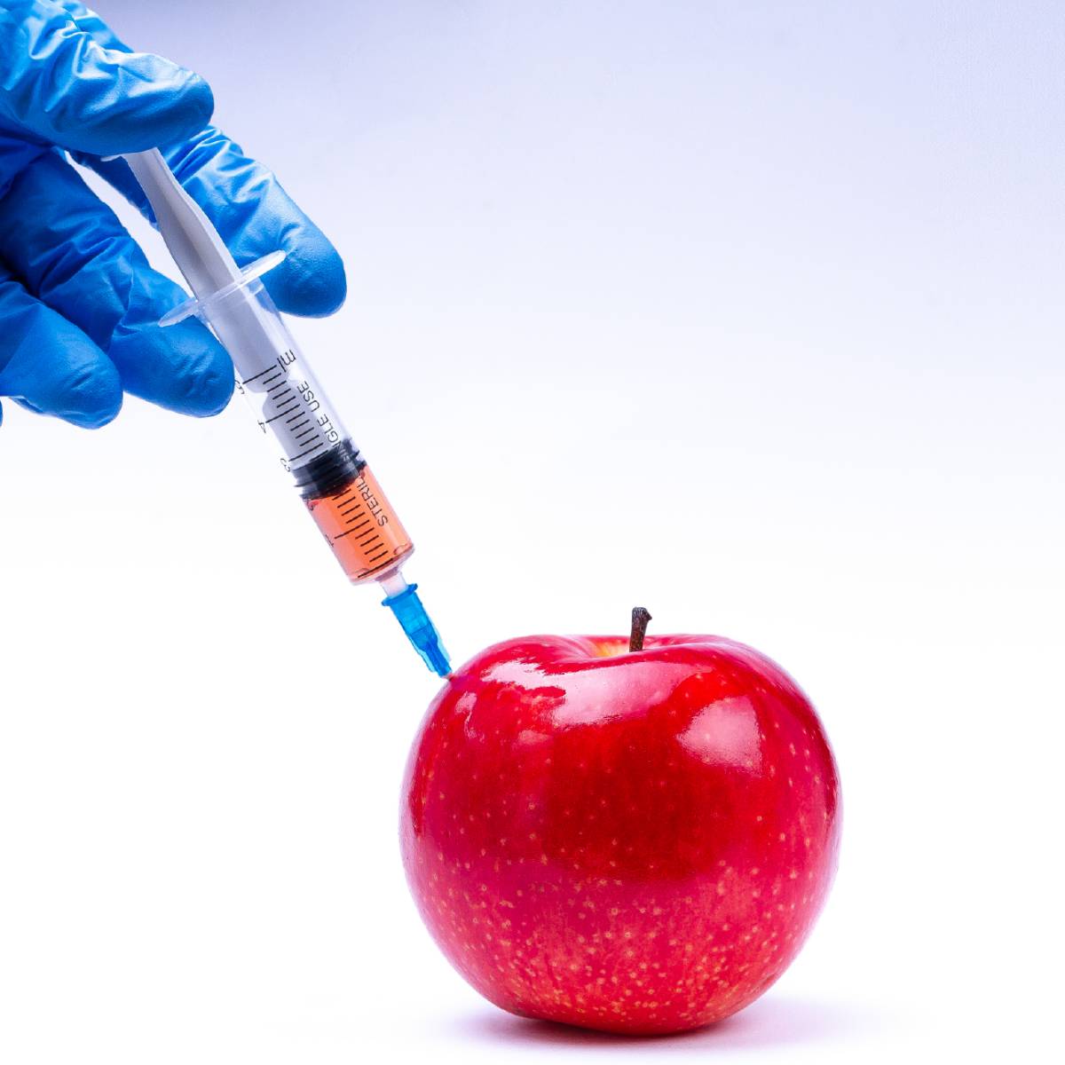 Disadvantages of Genetically Modified crops