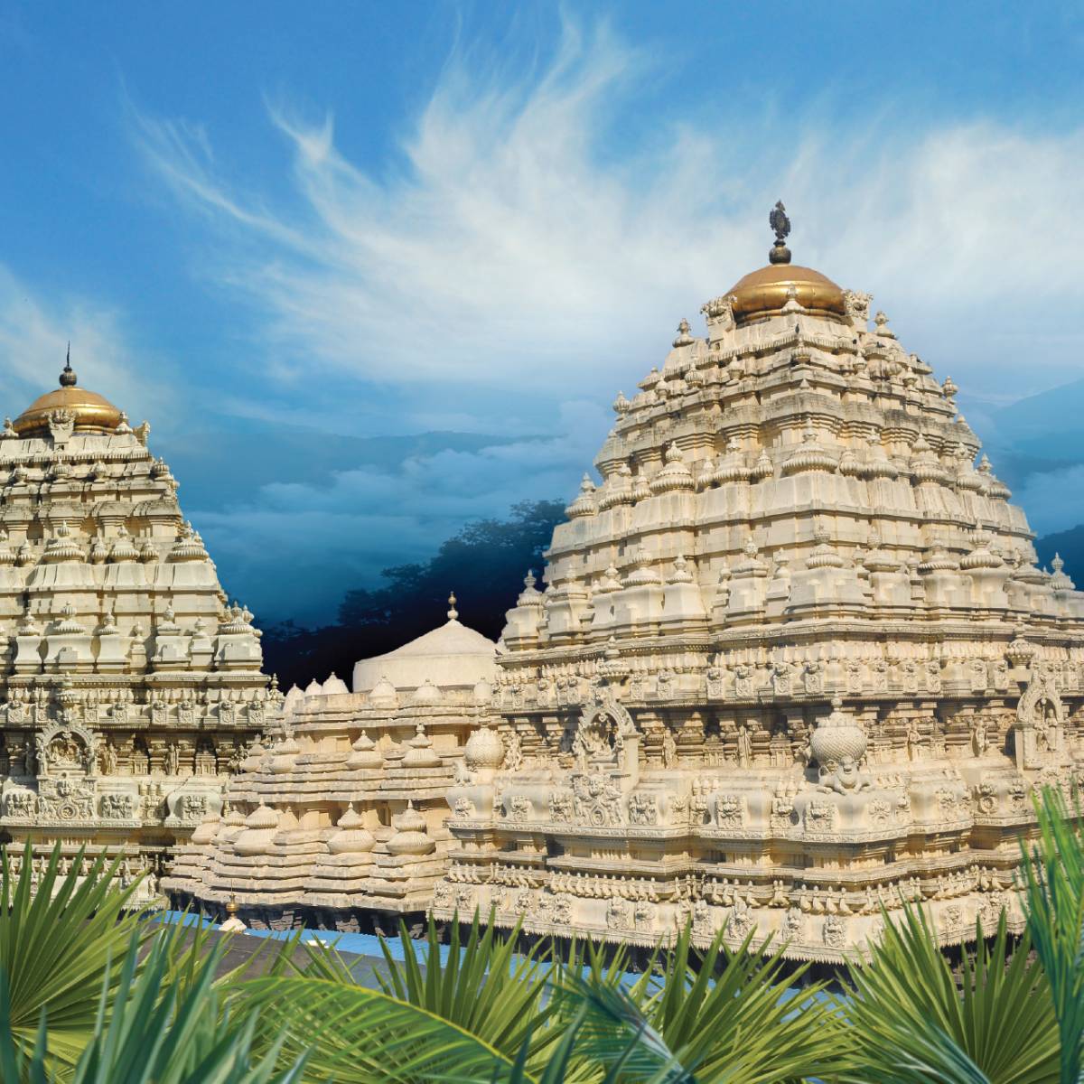 Simhachalam & The Miracle Rain Day Part 1