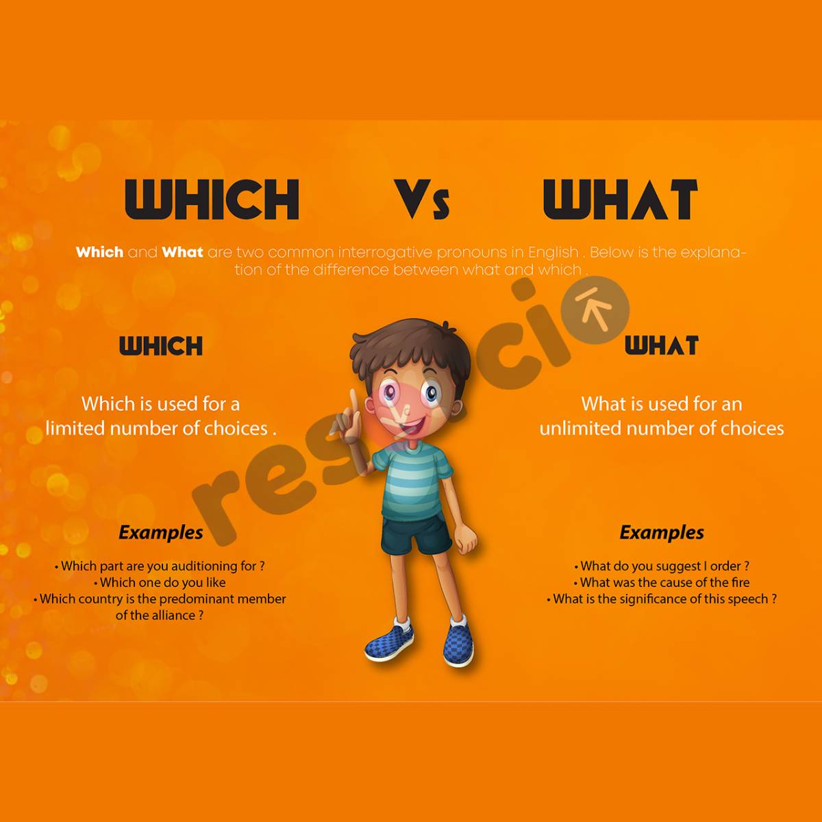 Which Vs What - 01