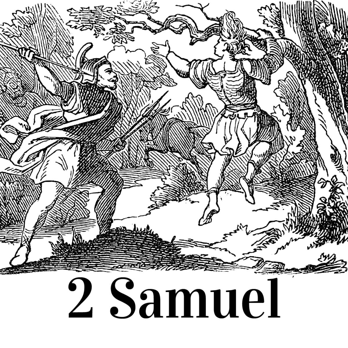 2 Samuel