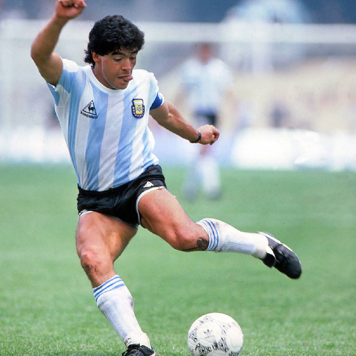 Diego Madrona