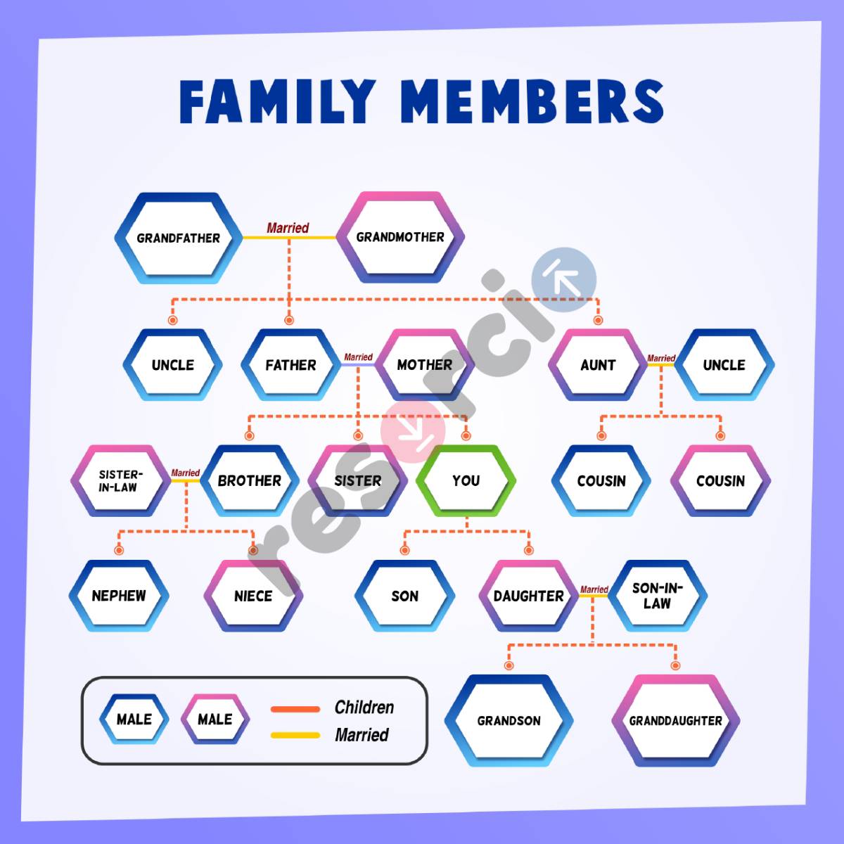Family Members - Template 01