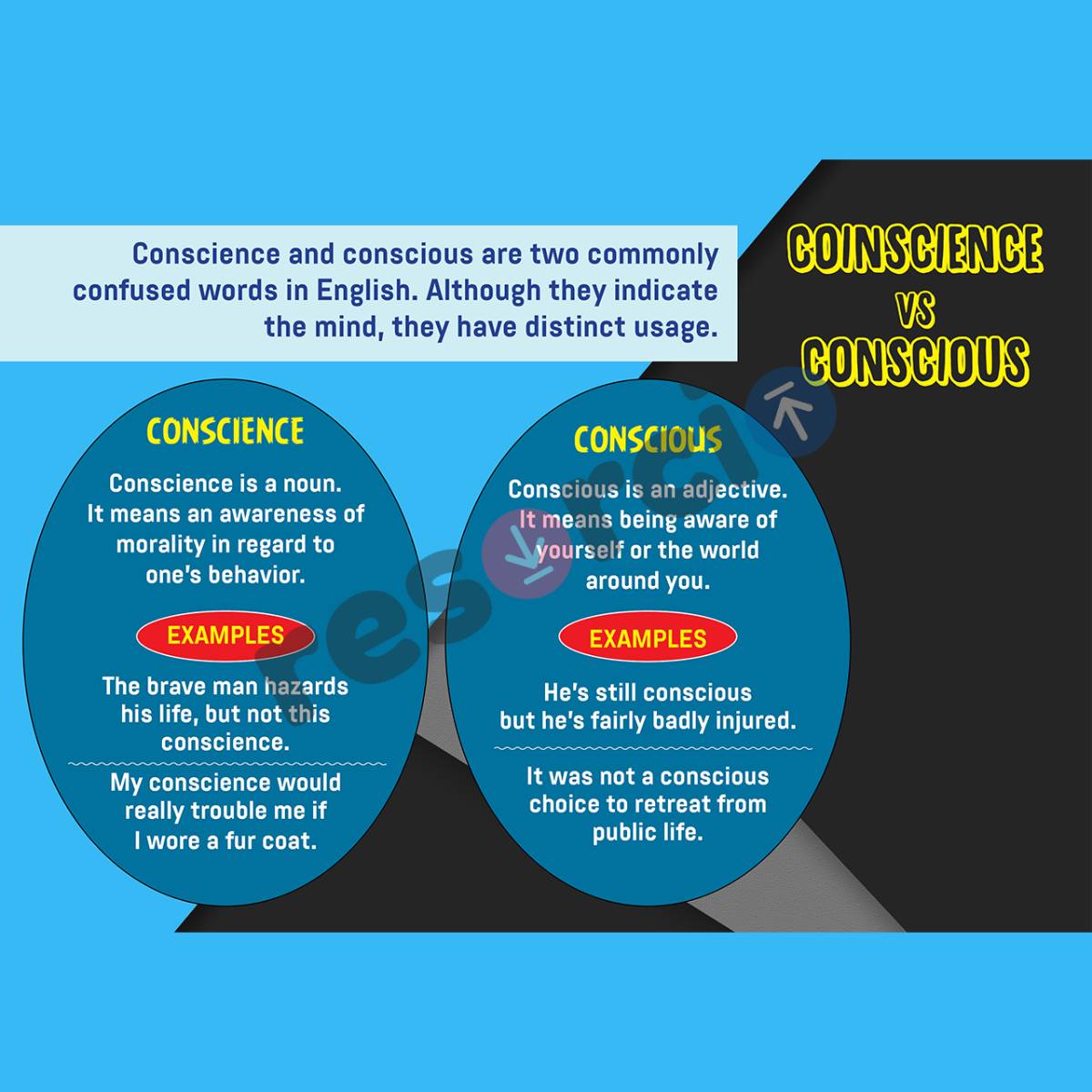 Conscience Vs Conscious - Template 08