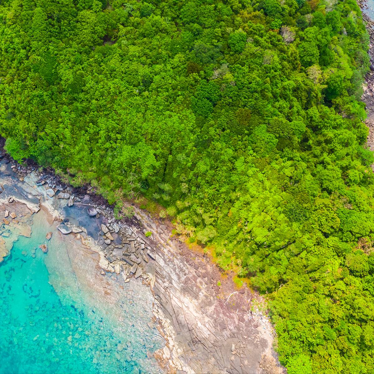 Our Environment - Human Environment Interactions The Tropical and The ...