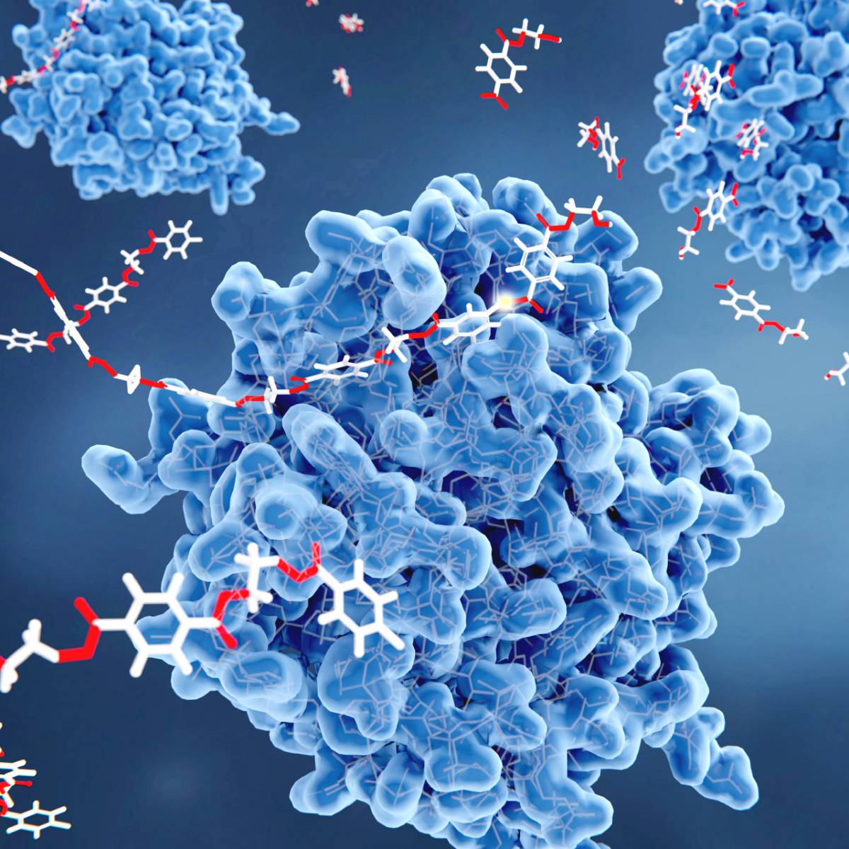 Protein Engineering