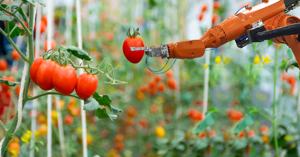 Crop Processing Technology