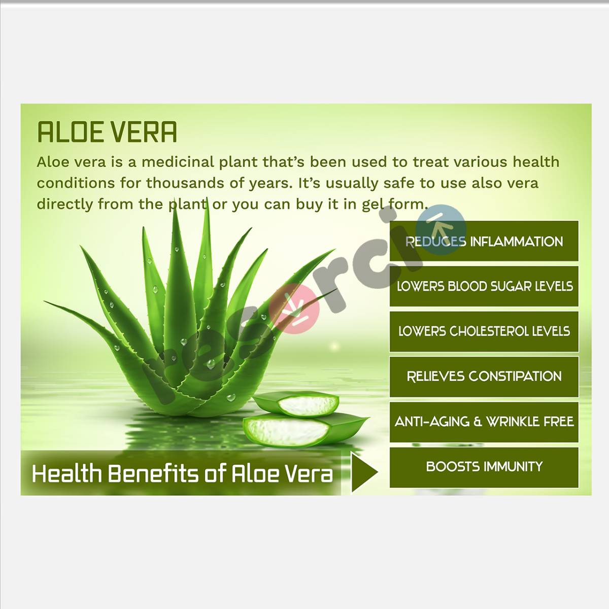 Health Benefits of Aloe Vera - 01