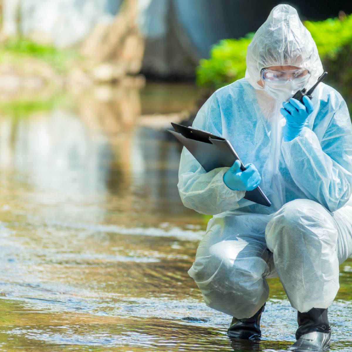 Basic Laws and Concepts for Environmental Scientists