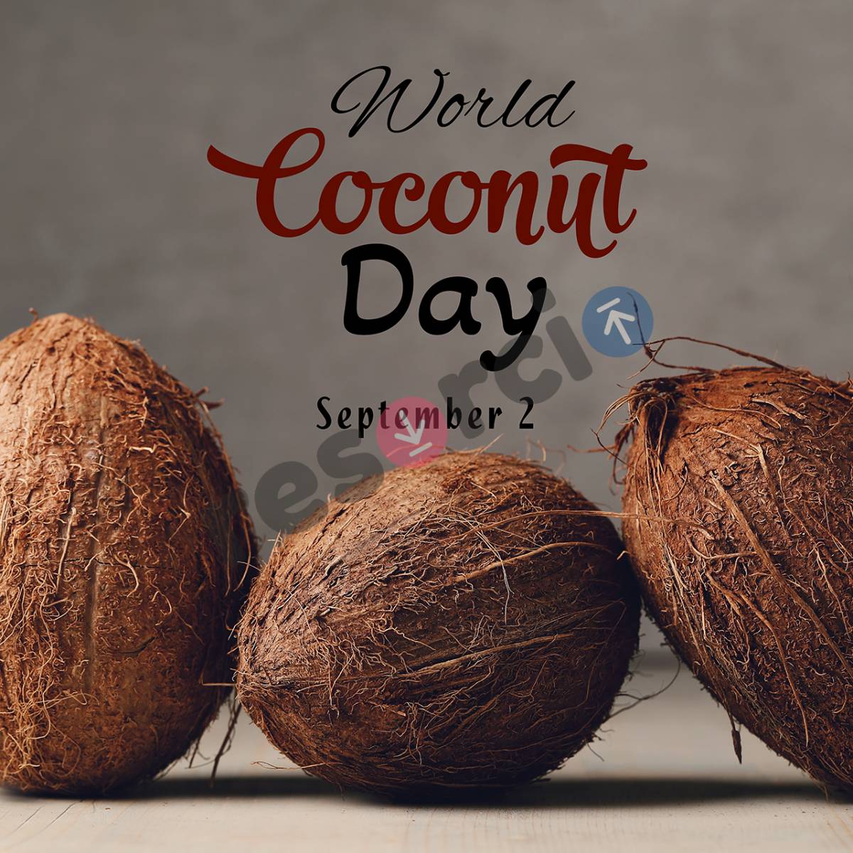 World coconut day - 03