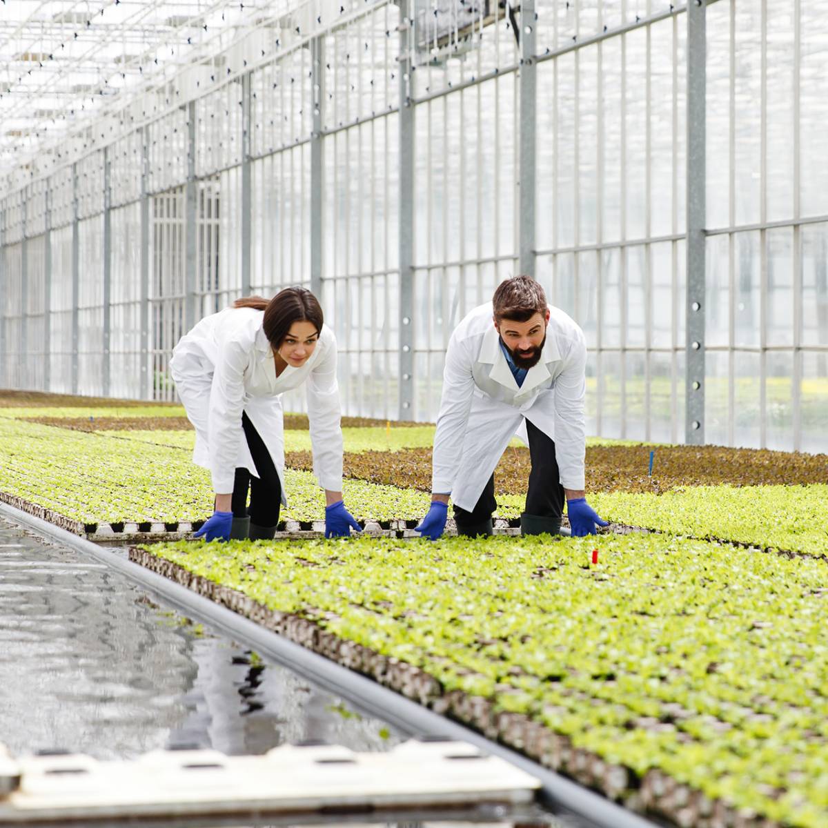 Science - Chapter 1 - Crop Production & Management - Part 3