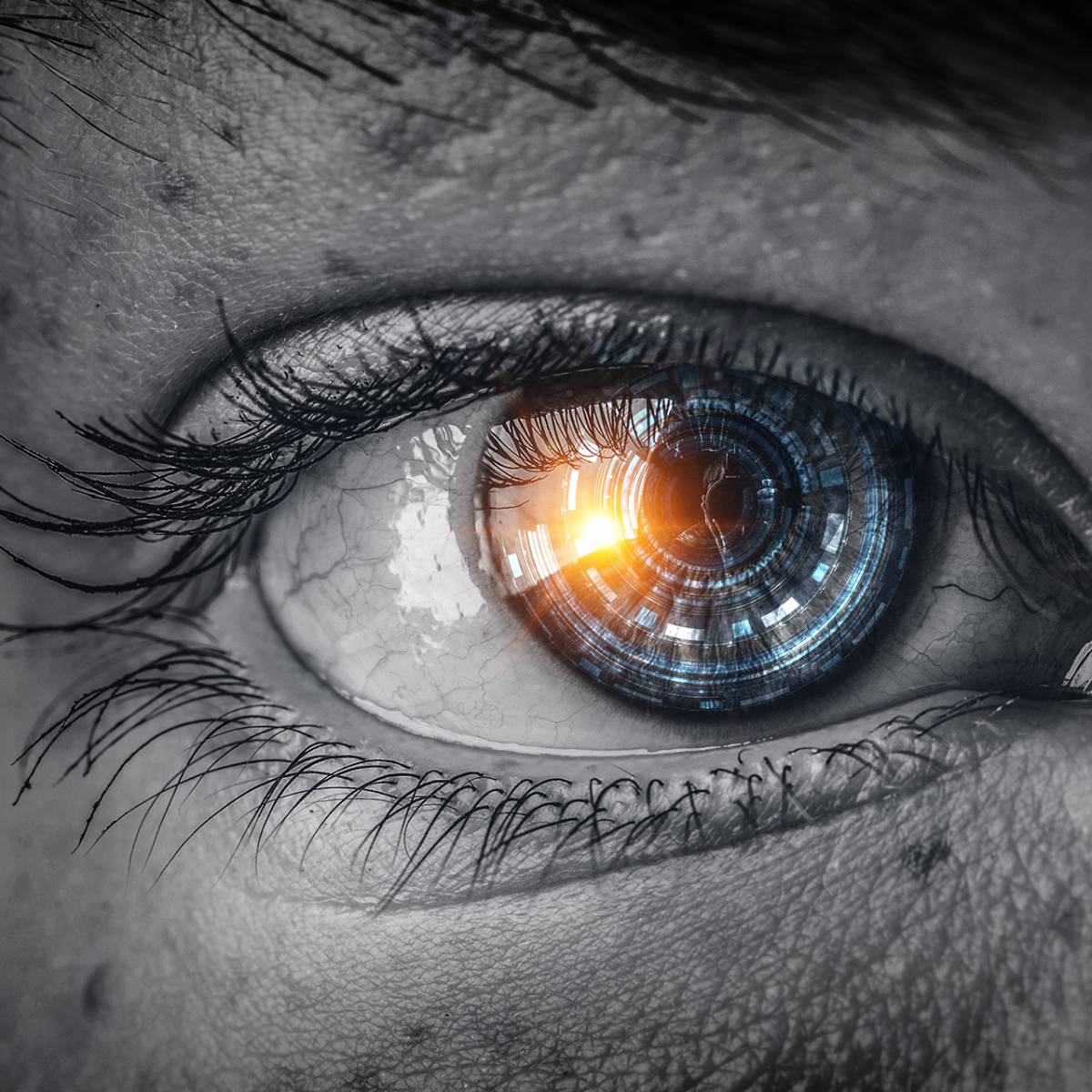 Science - Chapter 10 - The Human Eye and the Colourful World