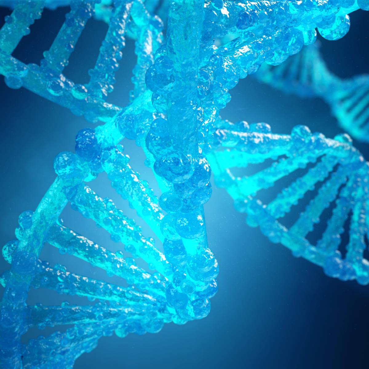 Introduction to Genetics