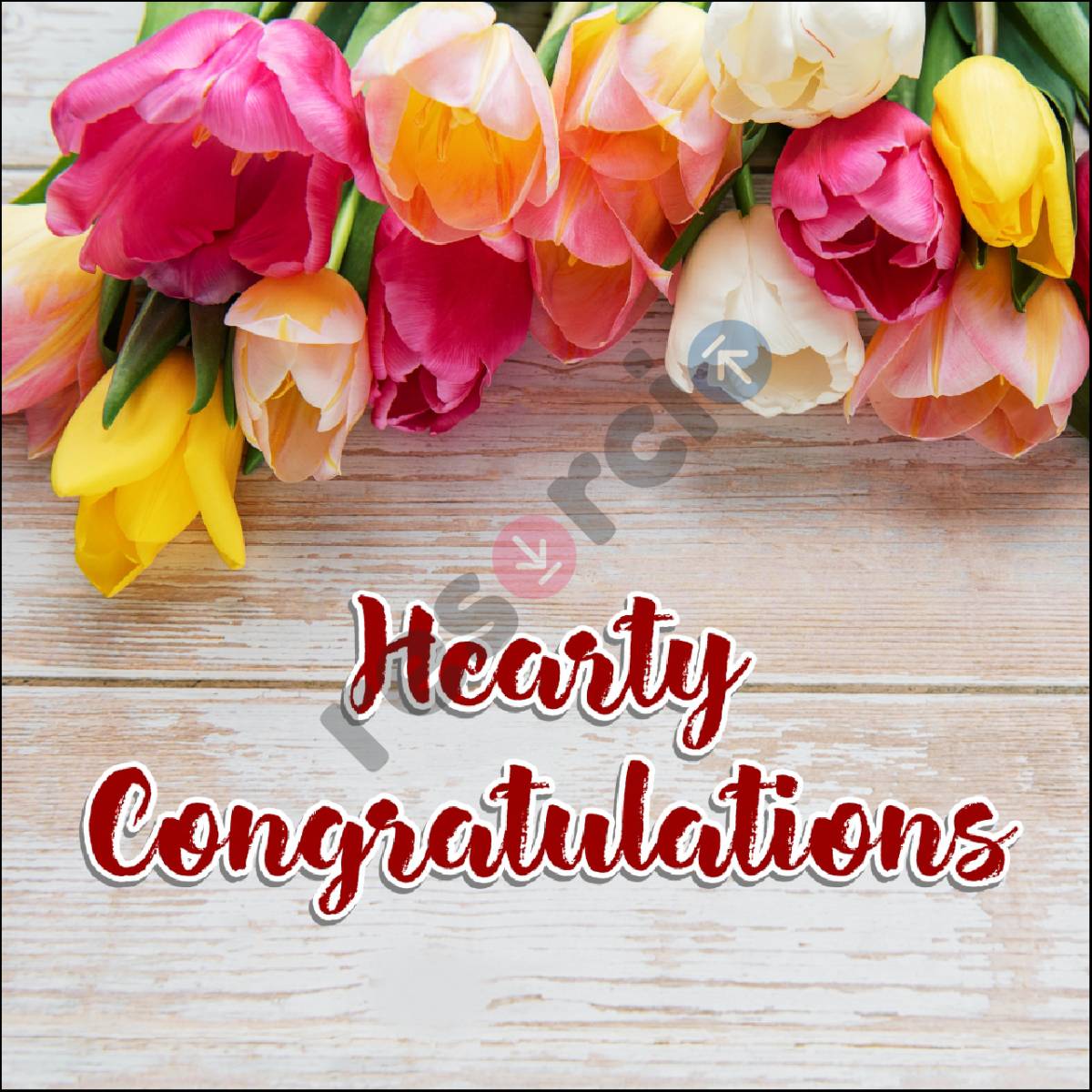 Hearty Congratulations - Template 89