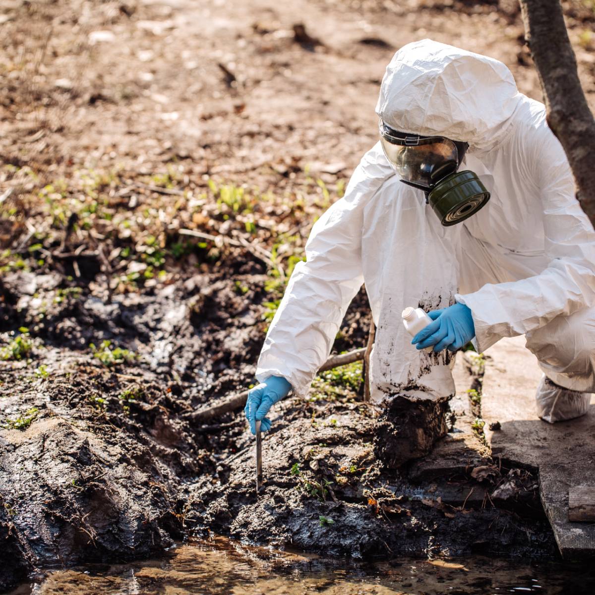 Environmental Risk Analysis & Mitigation