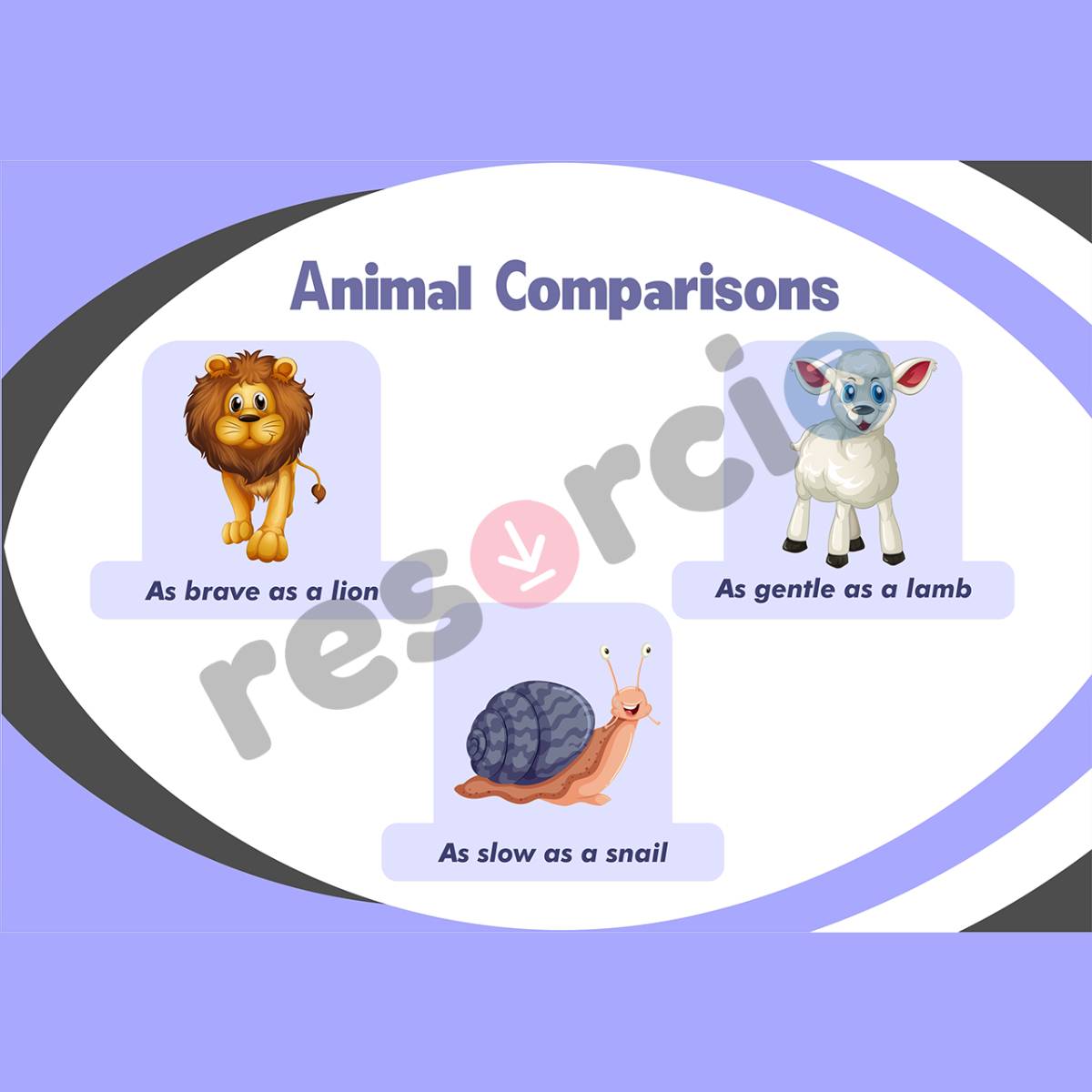 Animal Comparisons - Template - 09