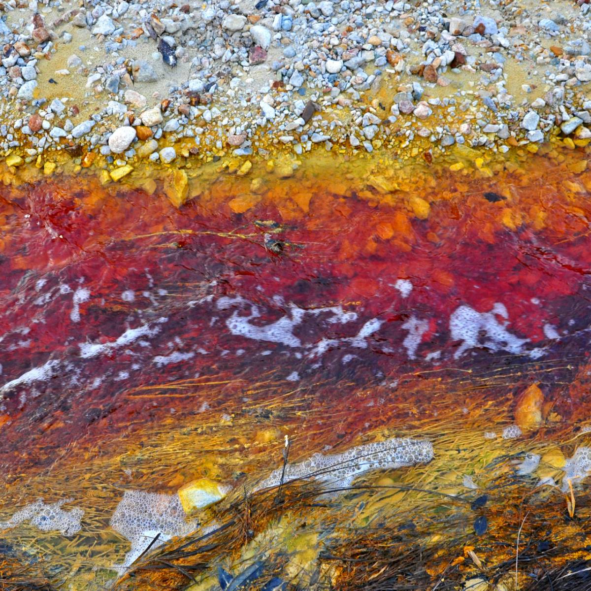 Heavy Metal Pollution