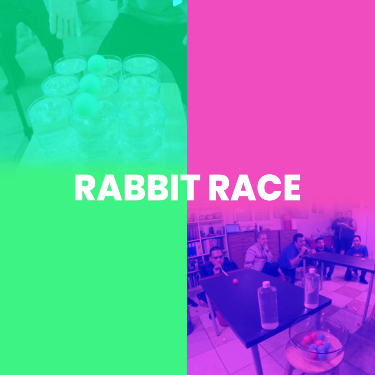 Rabbit Race