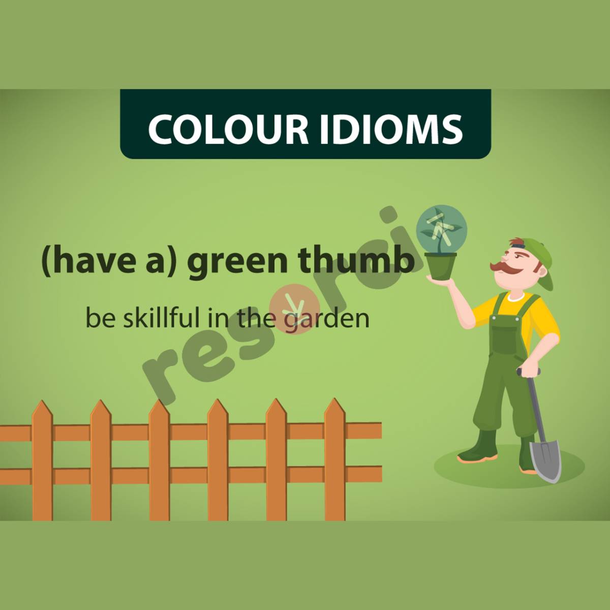 Colour Idioms - Template - 20