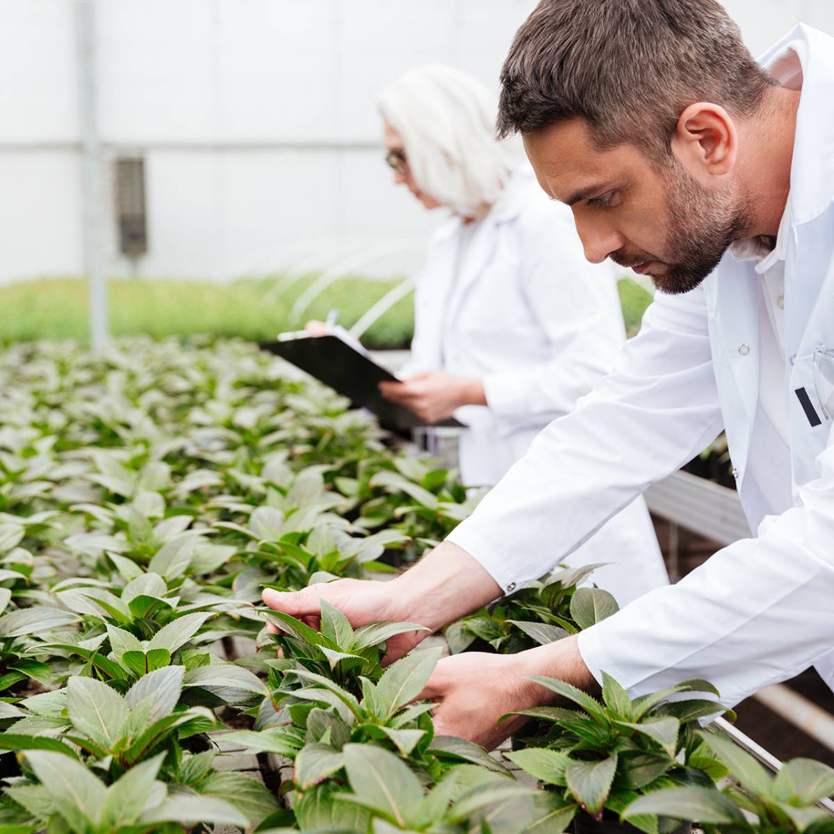 C8SC 01A - Science - Chapter 1 - Crop Production & Management - Part 1