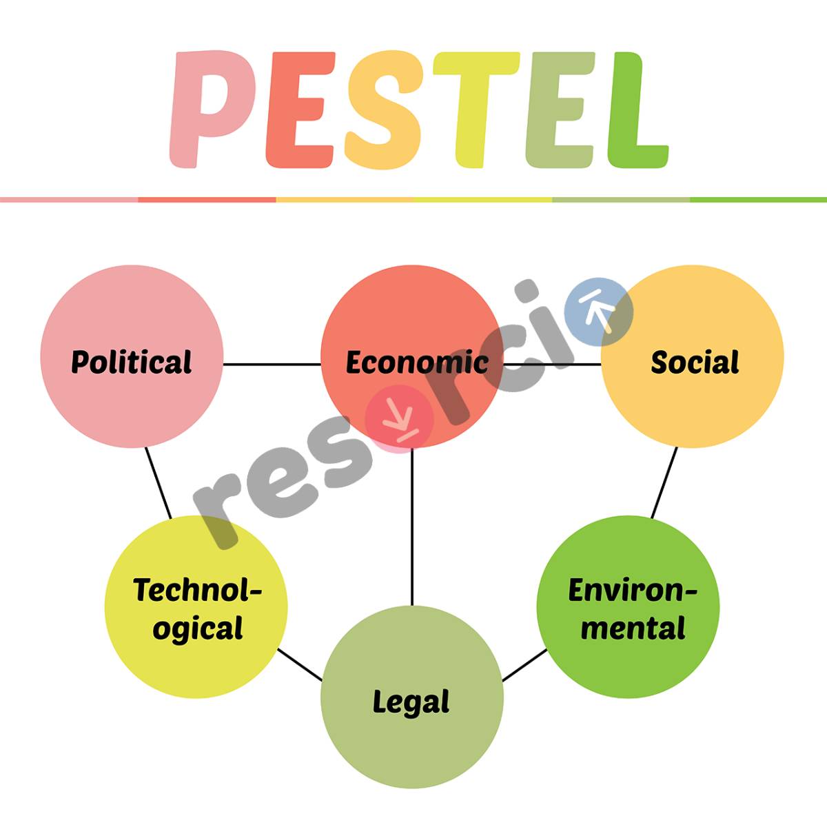 Pestel - 29