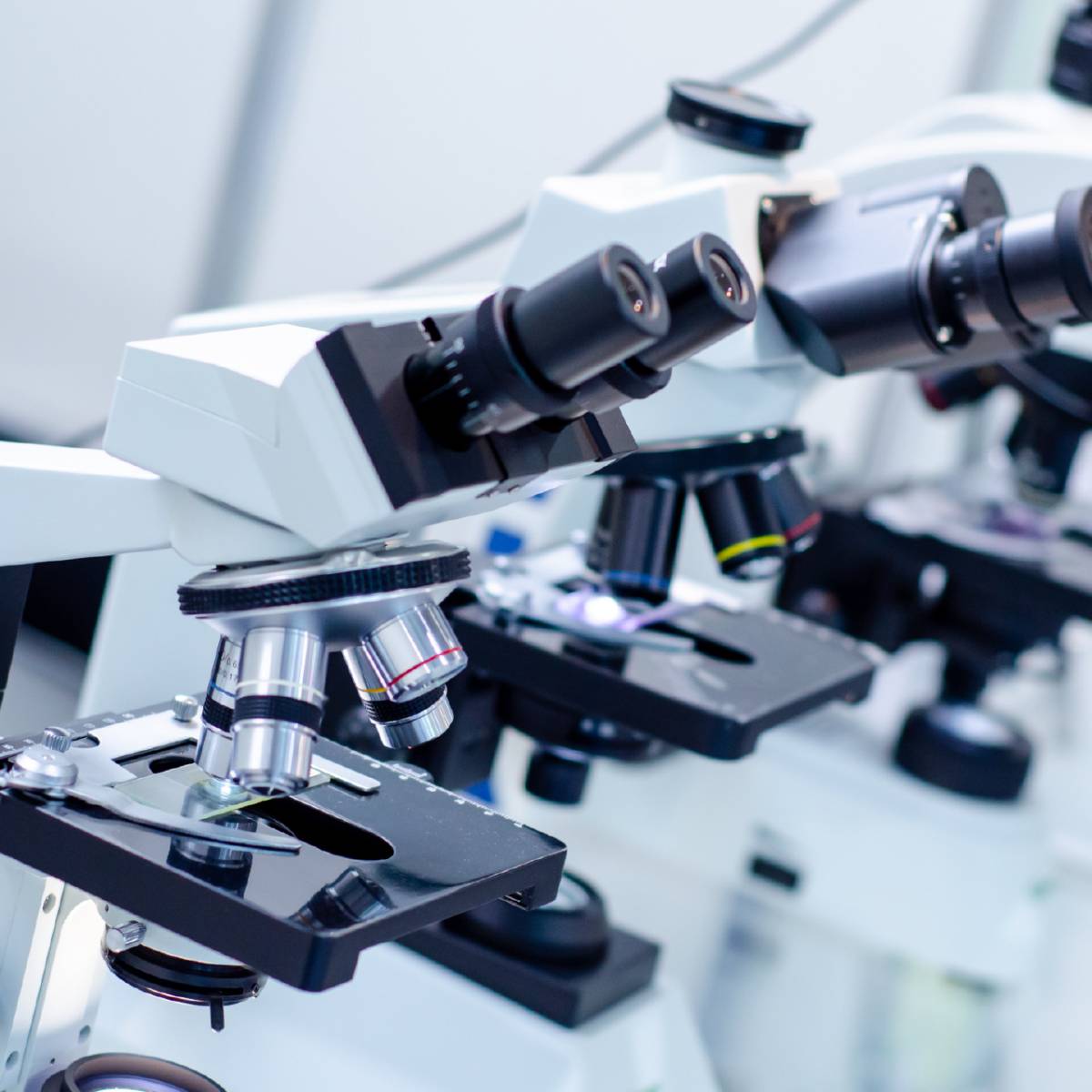 Microscopy Types and Principles