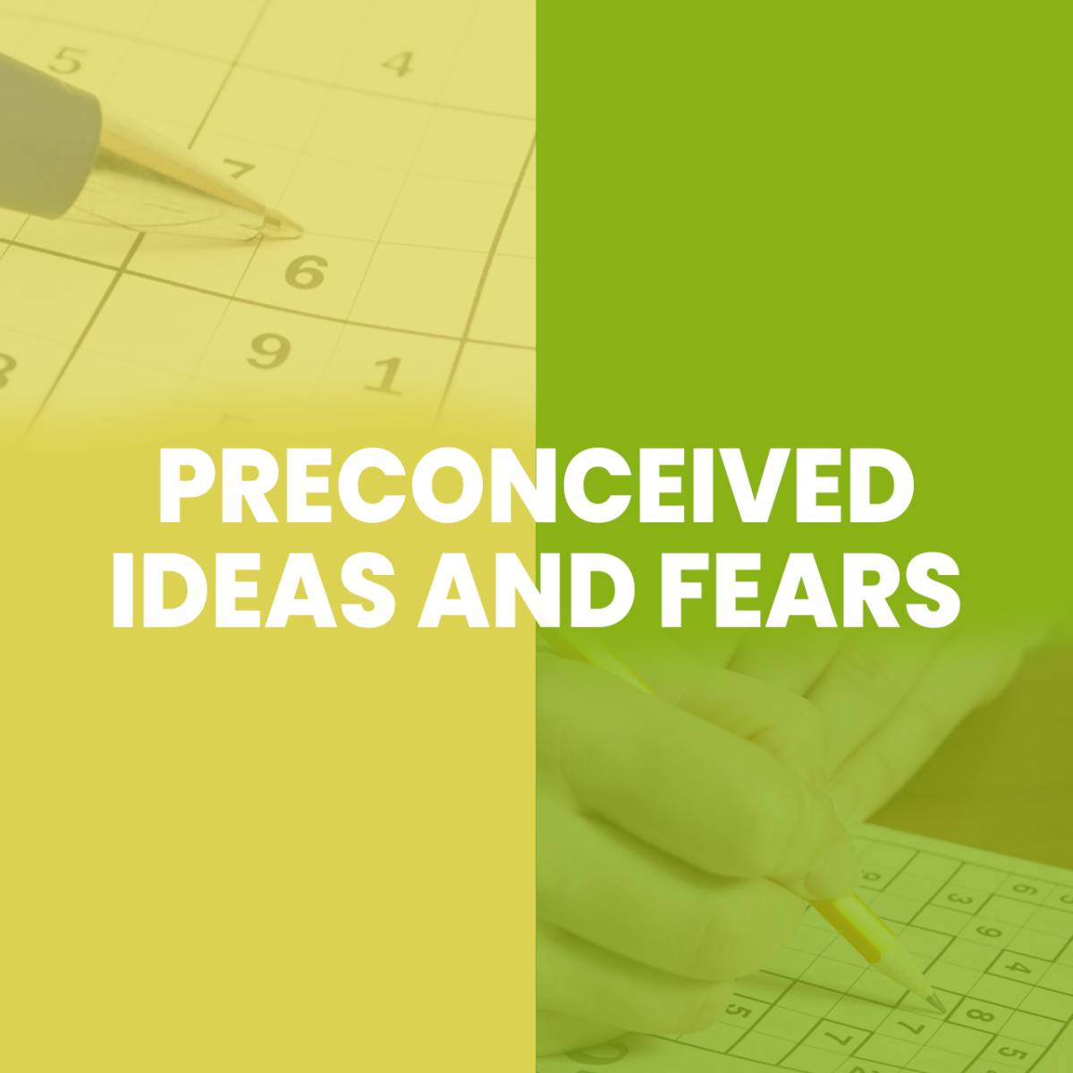 Preconceived Ideas and Fears