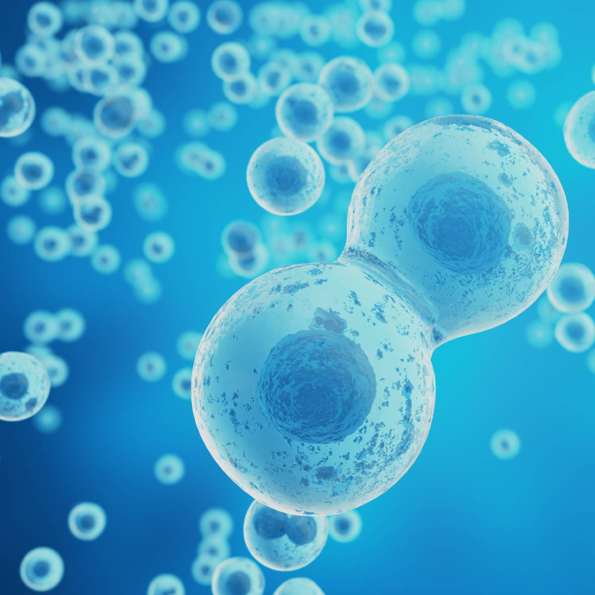 Stem Cell Technology to Cure Eye Disease