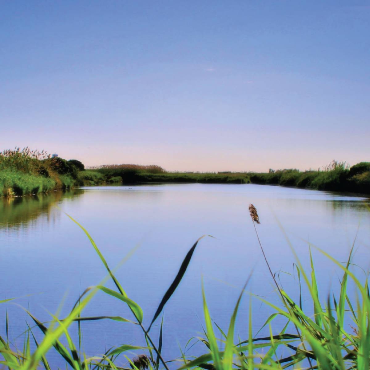 The Godavari Delta in Andhra Pradesh Part 1