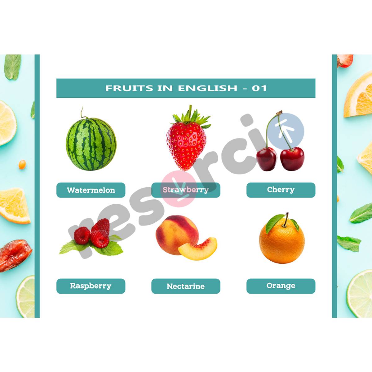 Fruits in English - Template 01