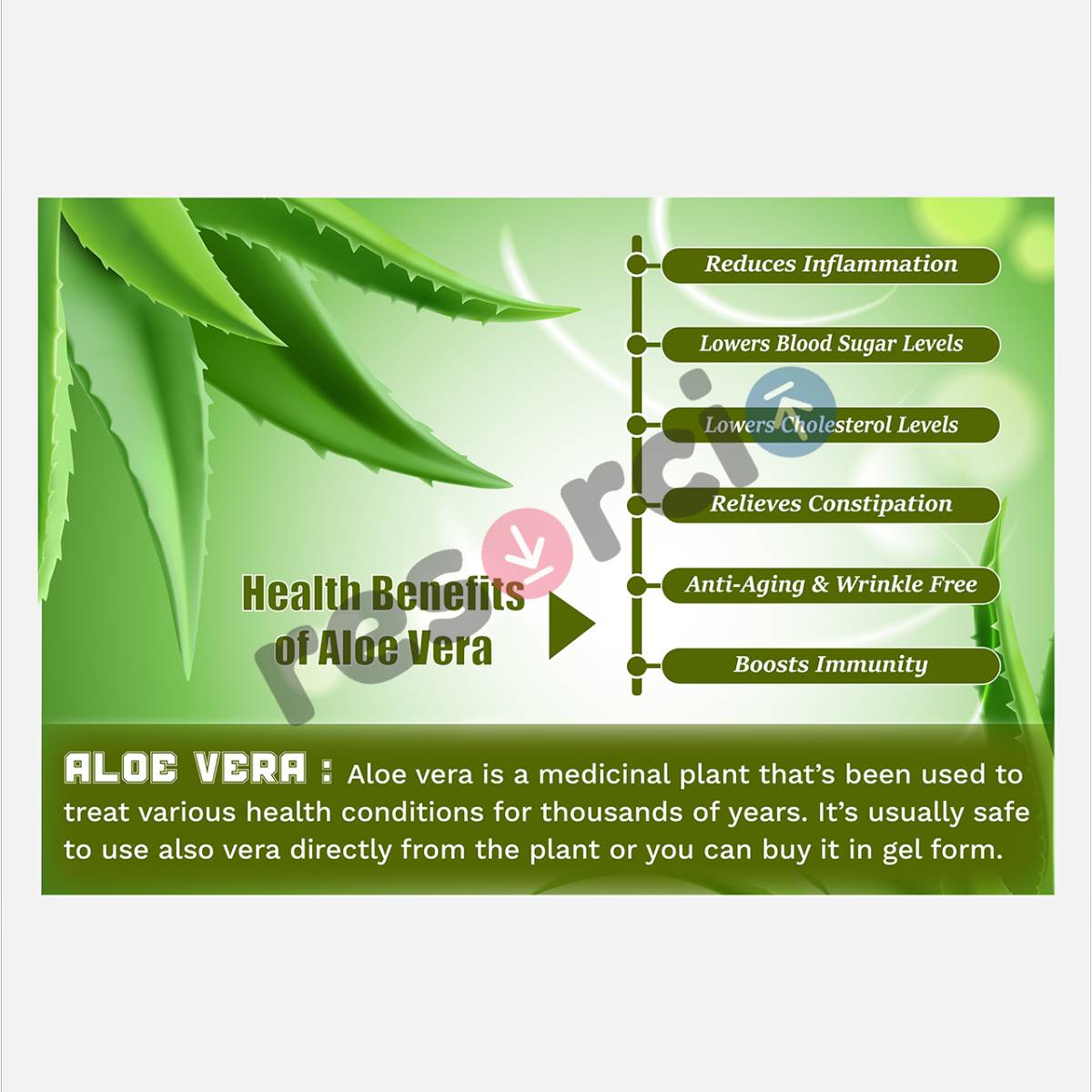 Health Benefits of Aloe Vera - 02