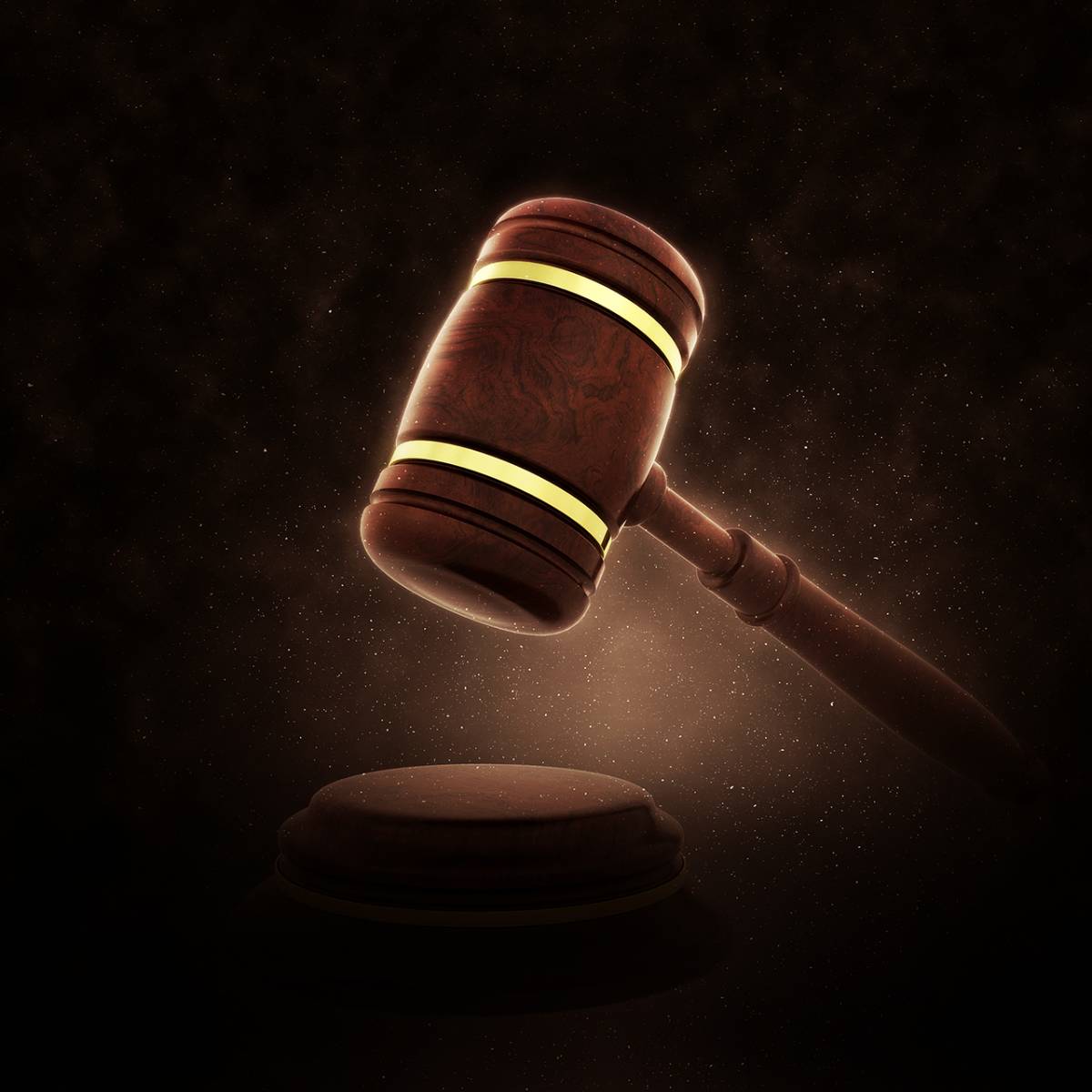 8 - Fundamental Duties