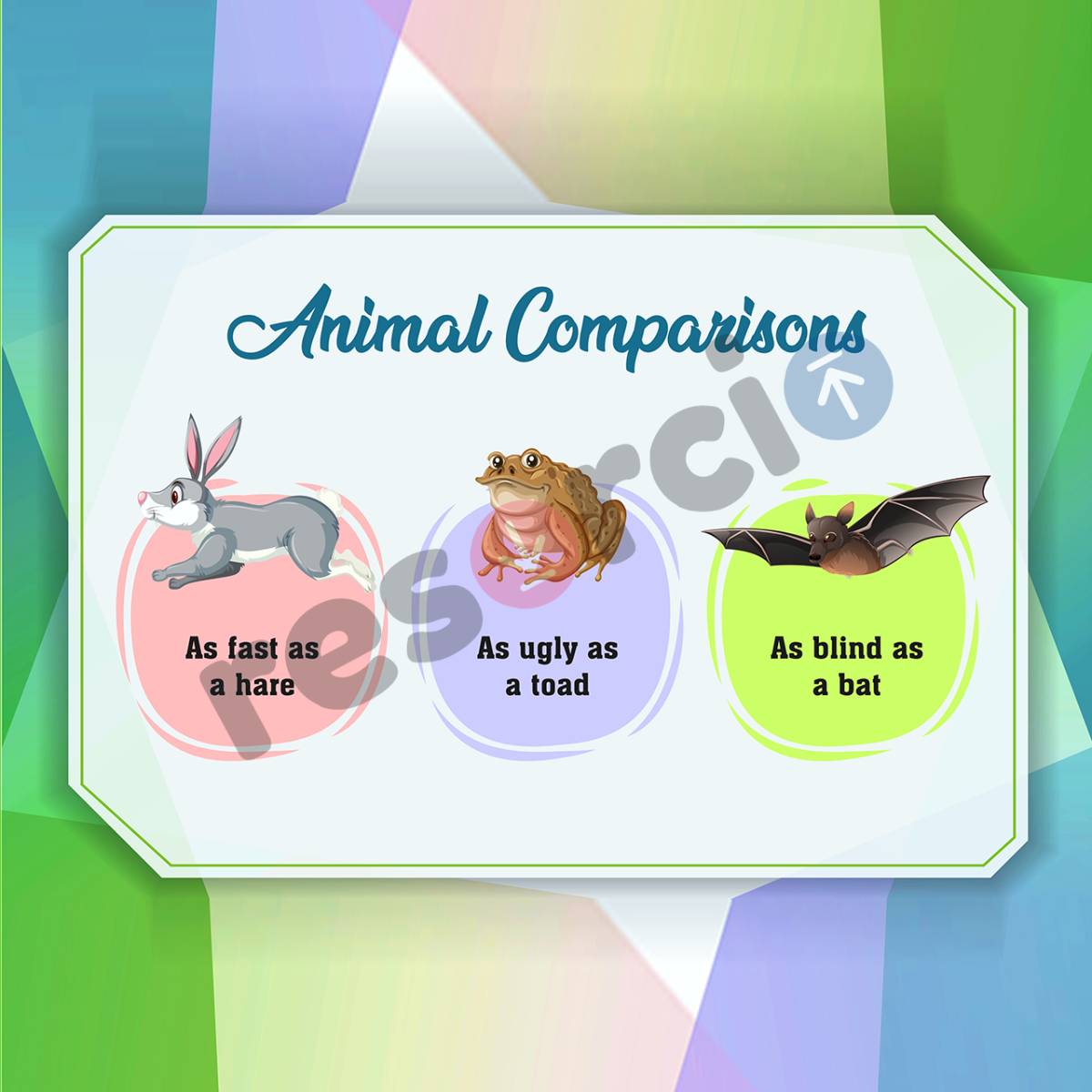 Animal Comparisons - Template - 05