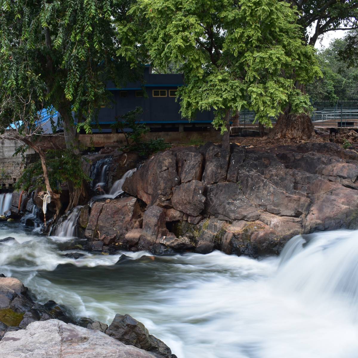 River Kaveri