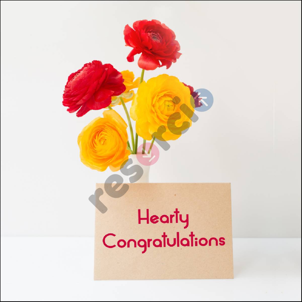 Hearty Congratulations - Template 69