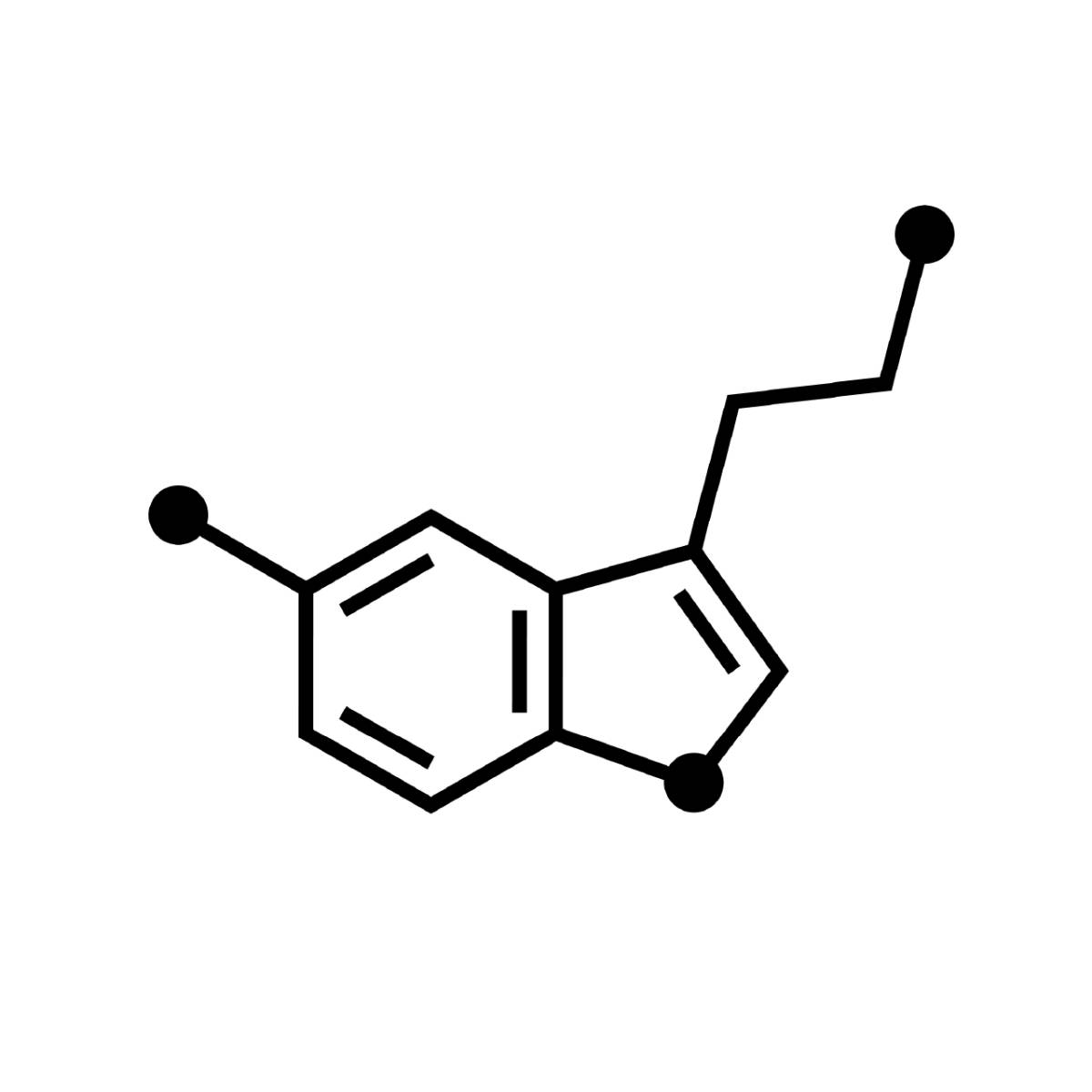 Structural Biochemistry