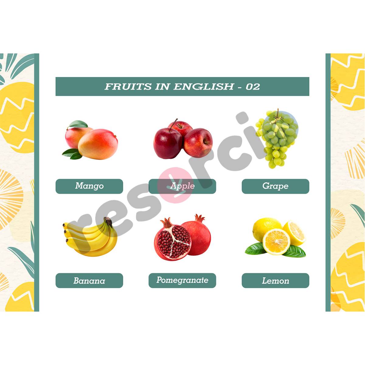 Fruits in English - Template 02