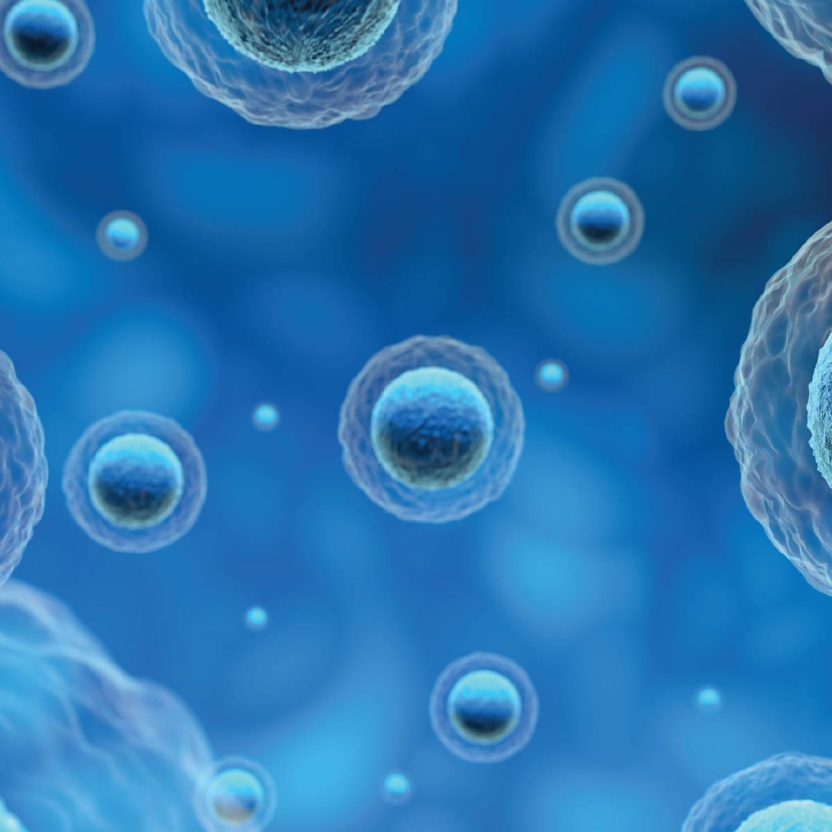 Basic Tools of rDNA Technology