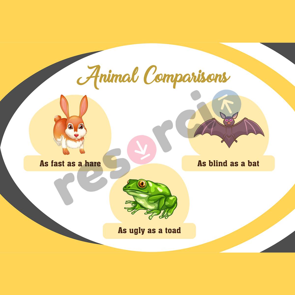 Animal Comparisons - Template - 10