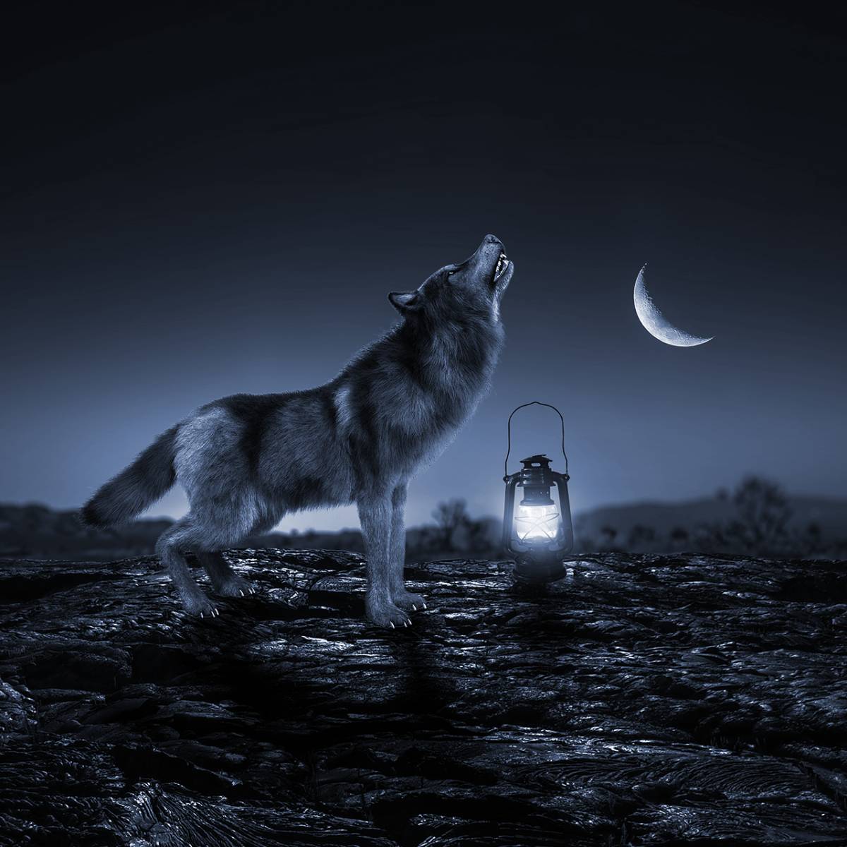 Gamification in HR - Bluewolf