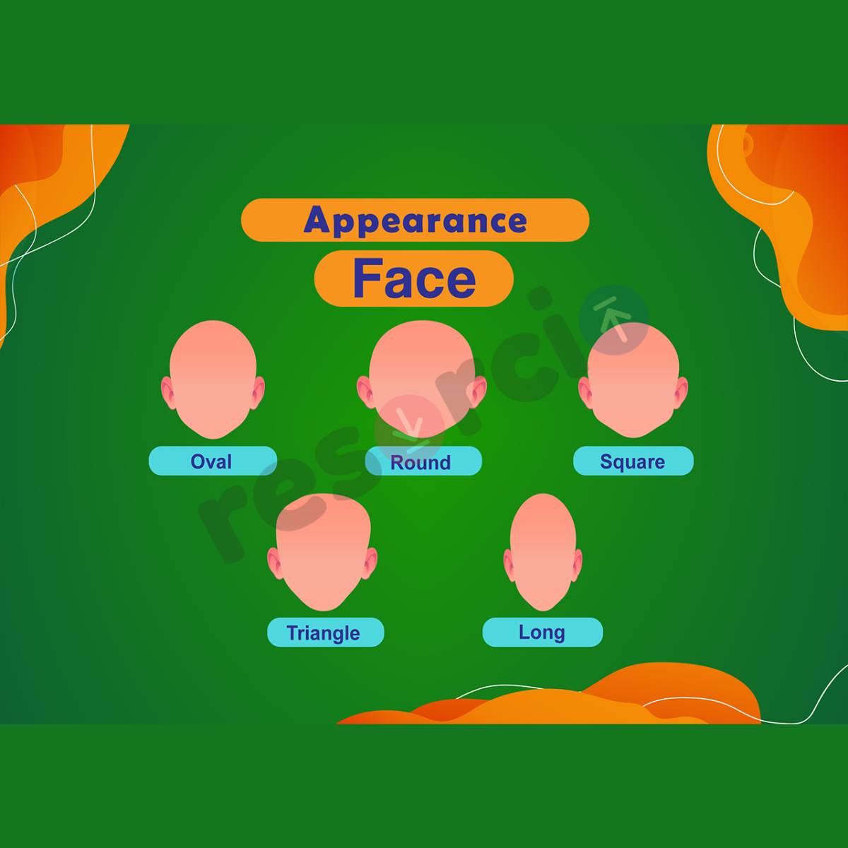Appearance - Face - Template 02