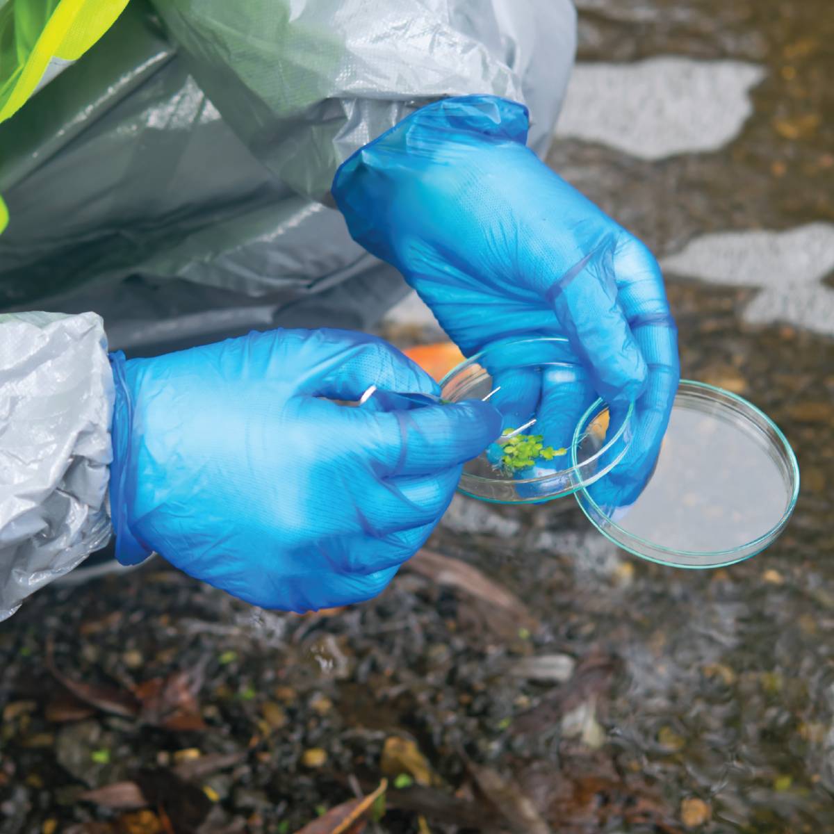 Environmental Microbiology