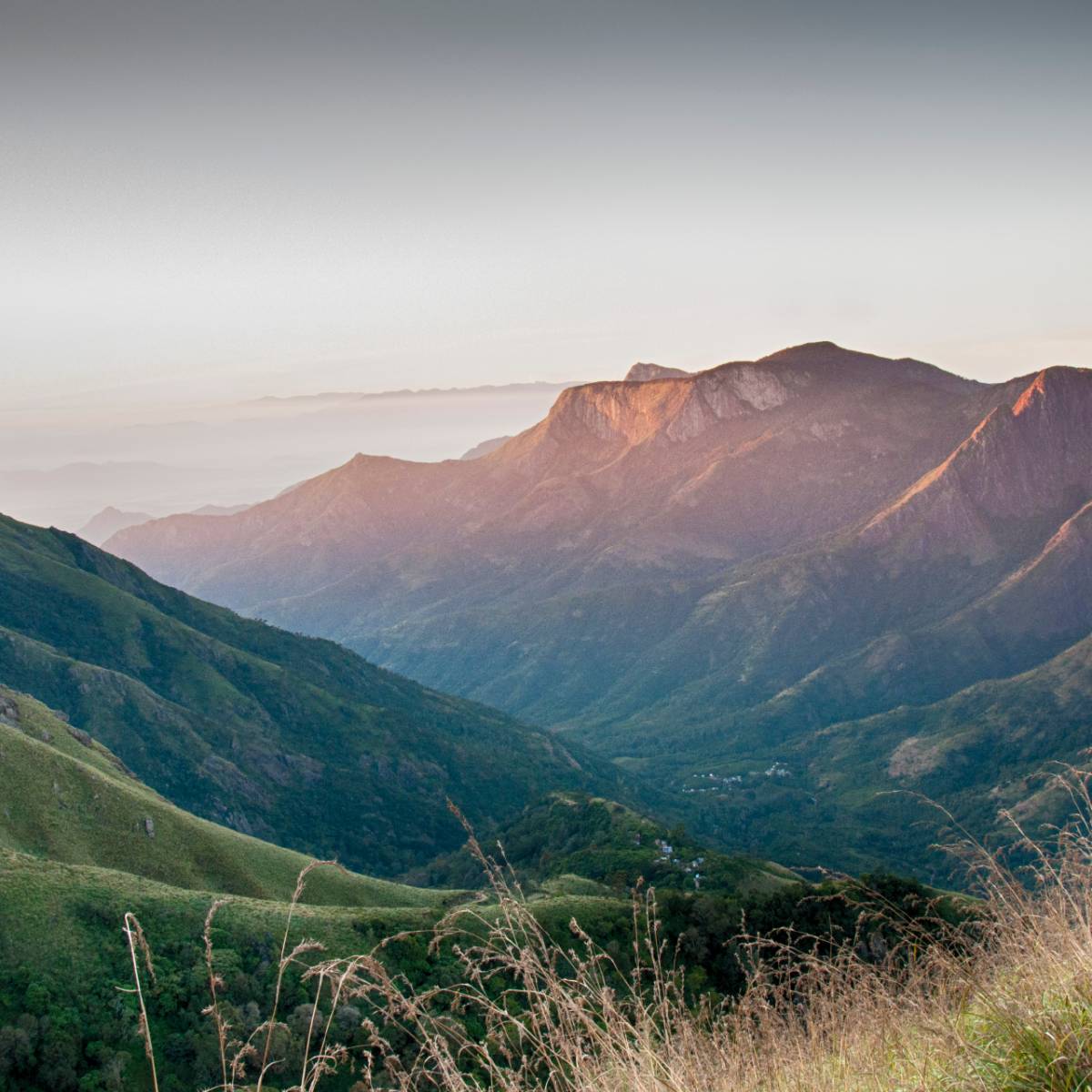 Pachamalai Hills