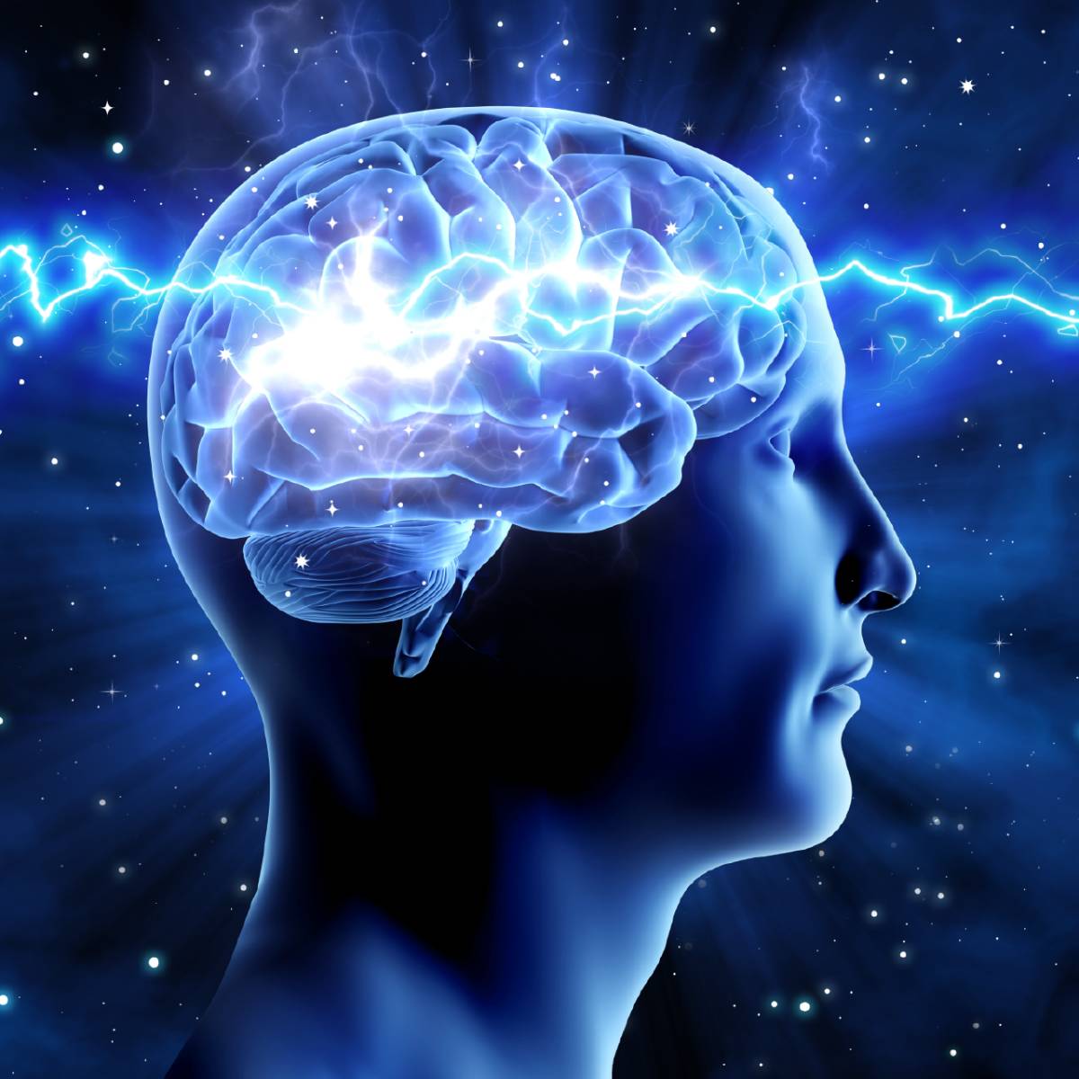 Brain