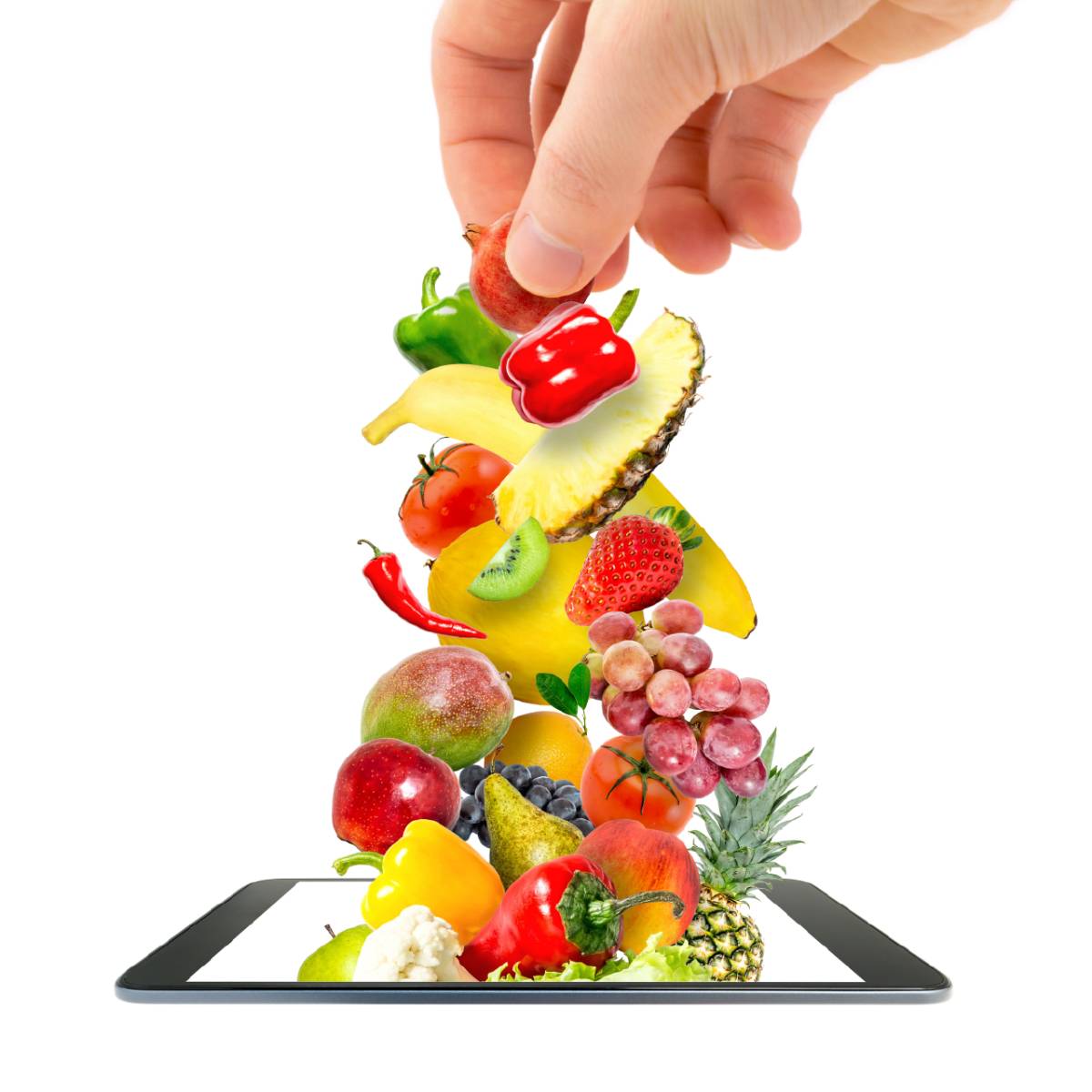 Homogeniser and Process of Homogenisation