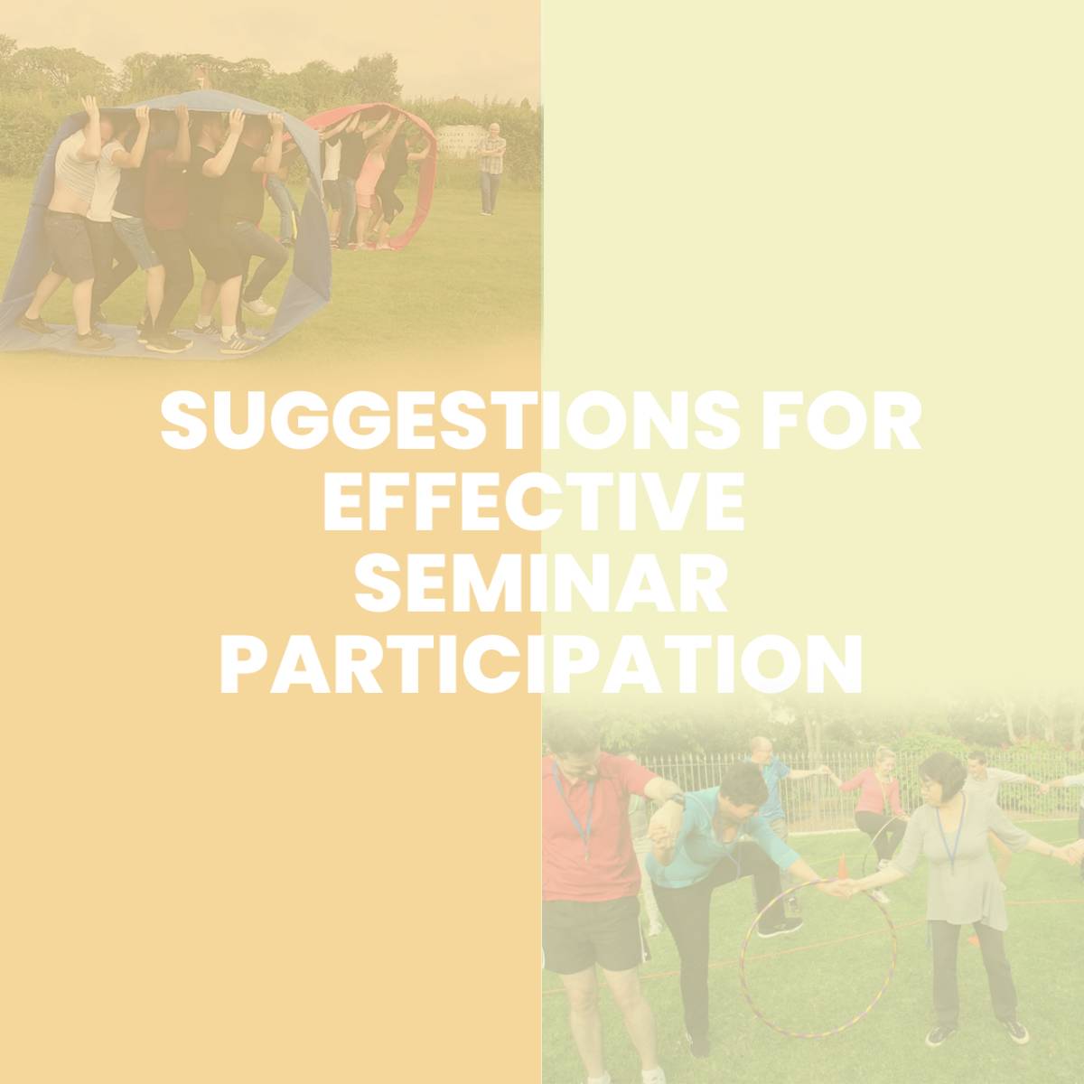 Suggestions for Effective Seminar Participation