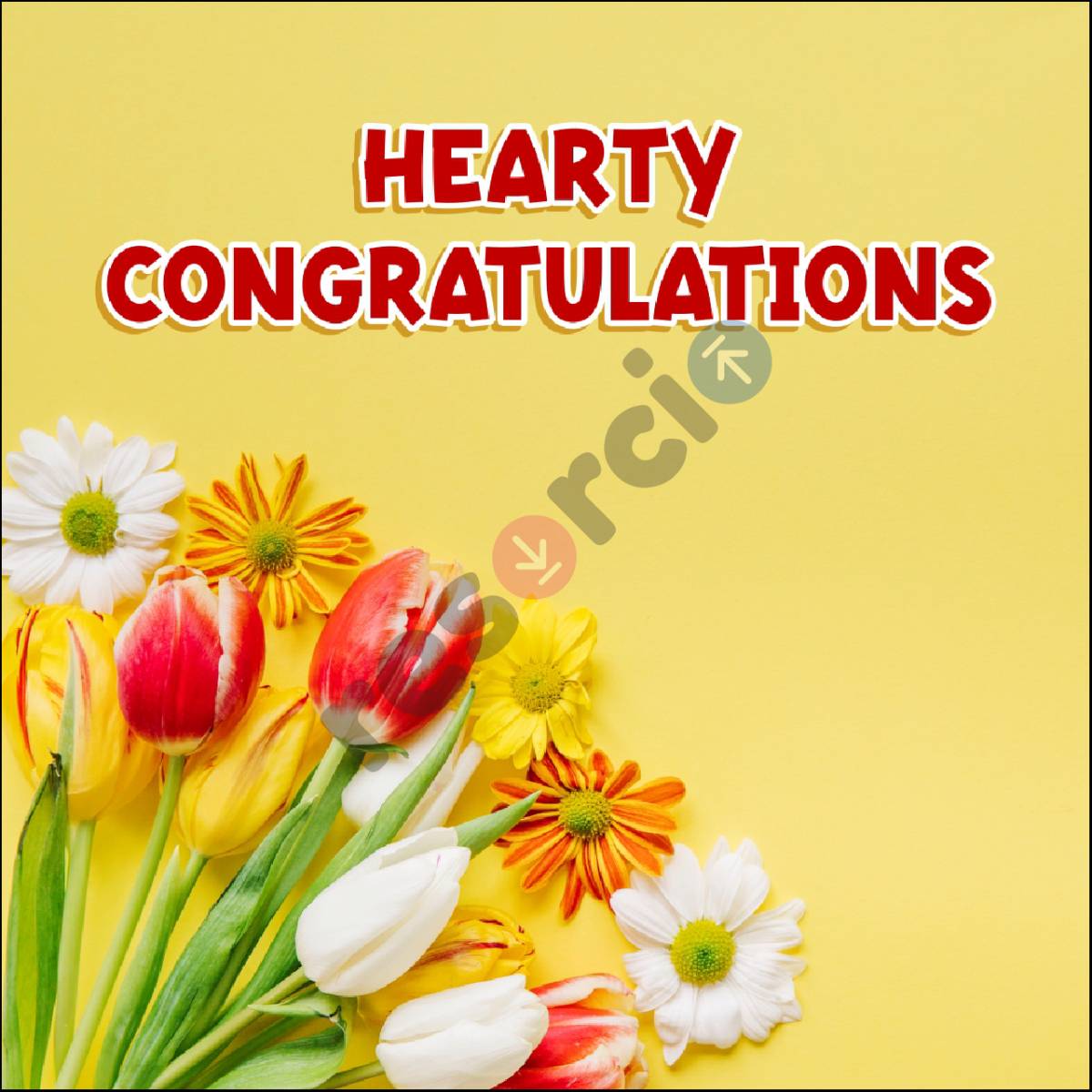 Hearty Congratulations - Template 80