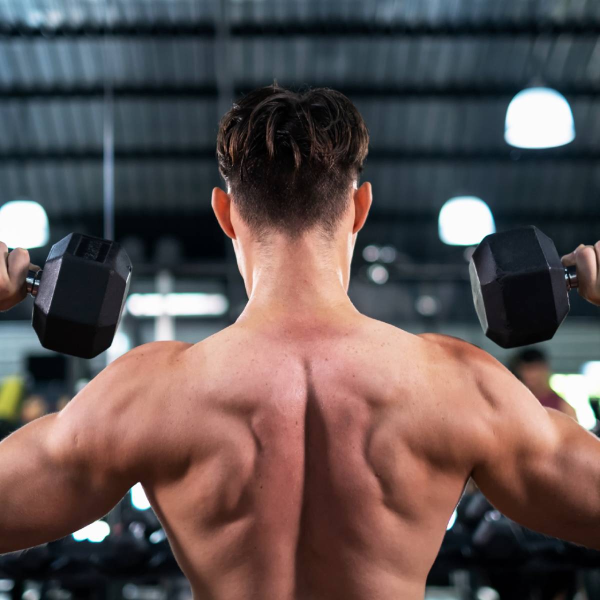 Classification of Muscles