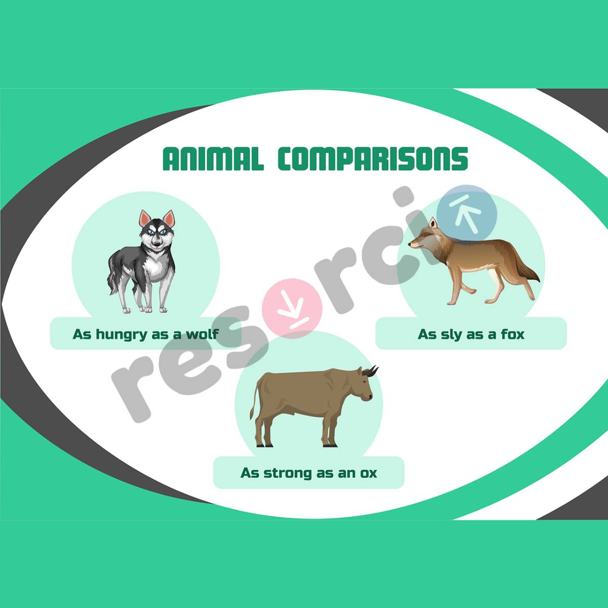 Animal Comparisons - Template - 06