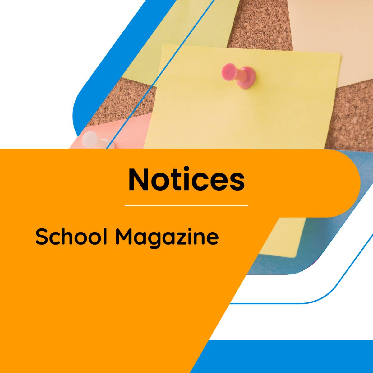 School Magazine