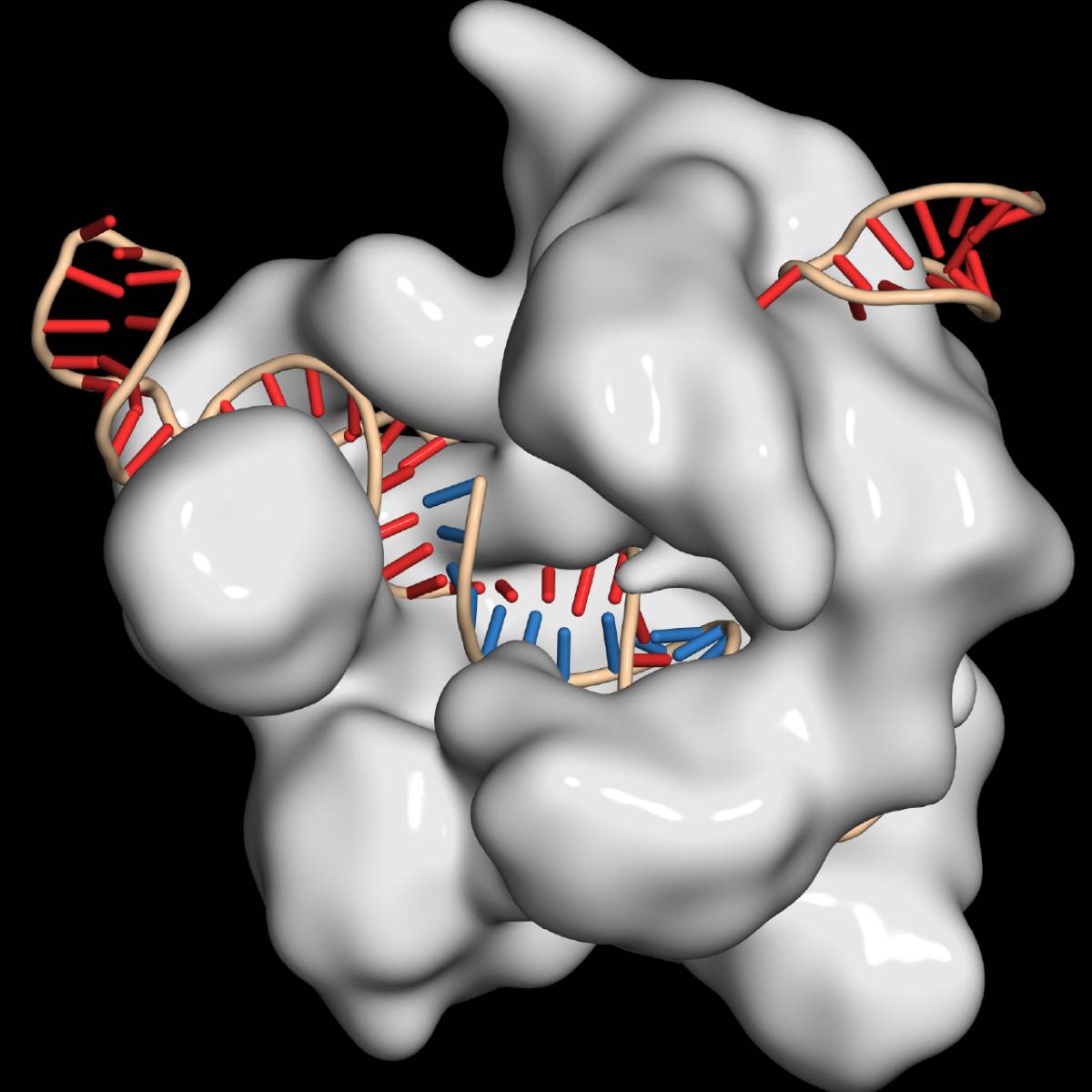 Bioinformatics, Pattern Recognition and Prediction